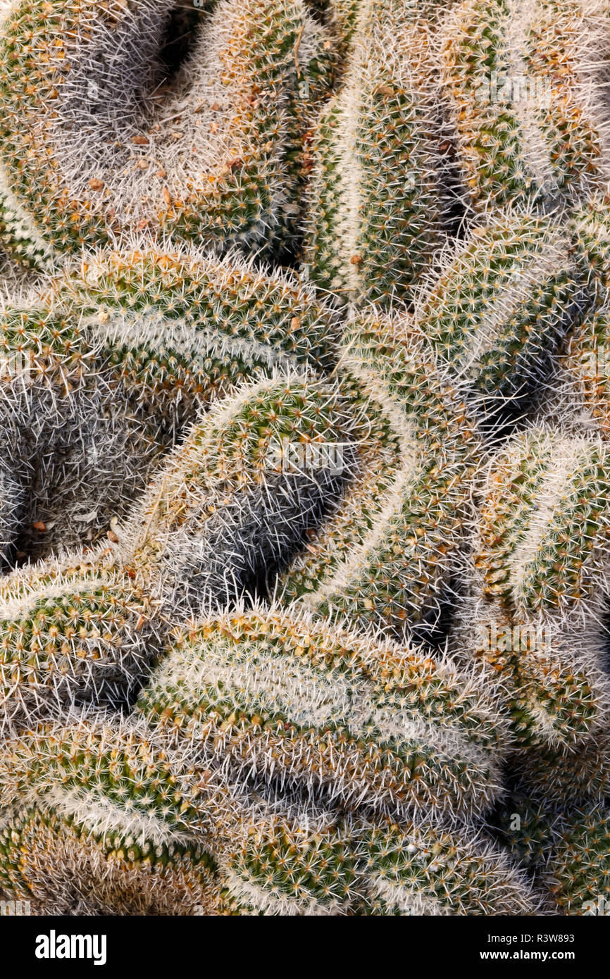 Arizona pattern hi-res stock photography and images - Alamy