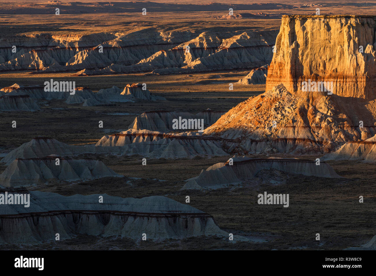 Unique formations of Coal Mine Canyon near Tuba City, Arizona, part of ...