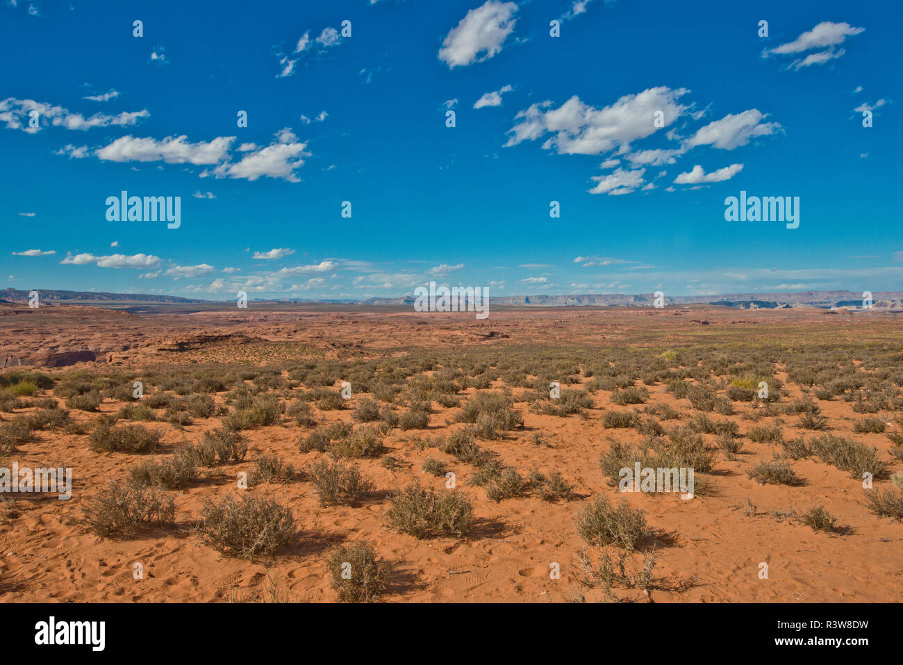 High desert landscape hi-res stock photography and images - Alamy