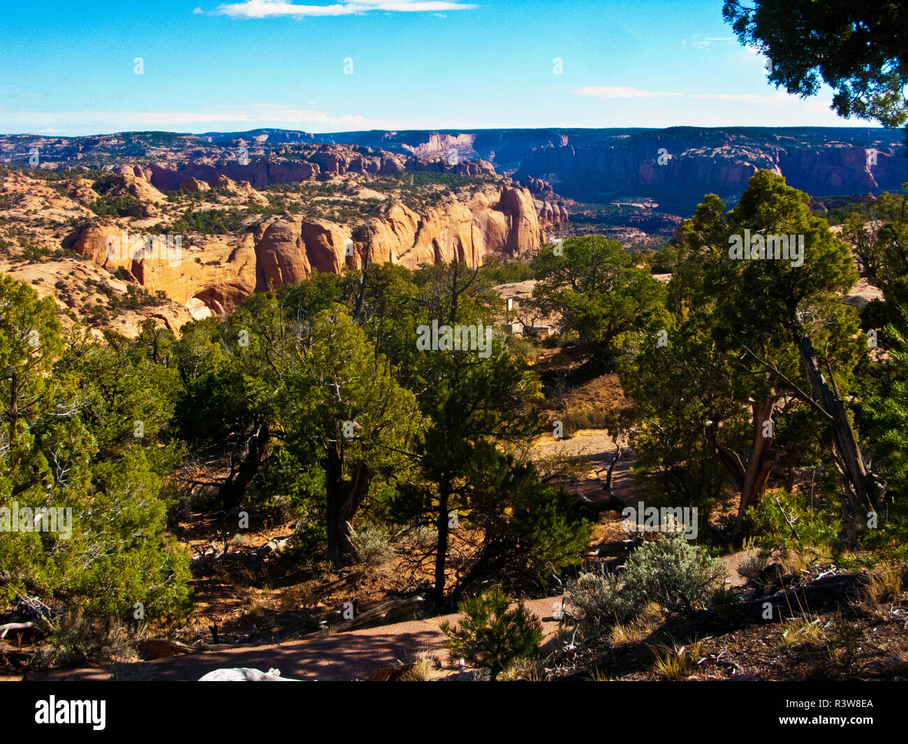 USA, Arizona, Tsegi, Navajo National Monument, Betatakin Canyon Stock ...