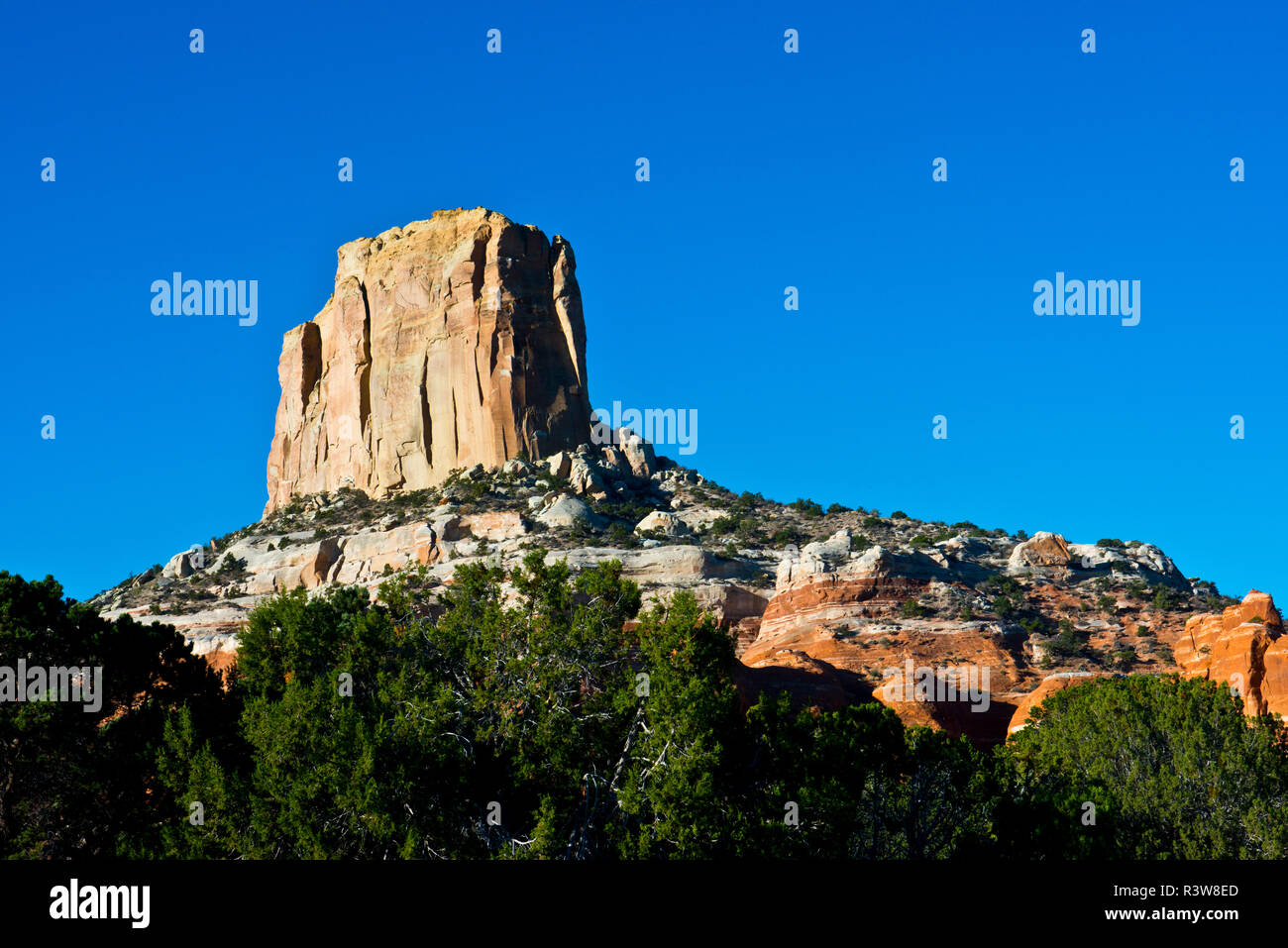 Sr 98 hi-res stock photography and images - Alamy