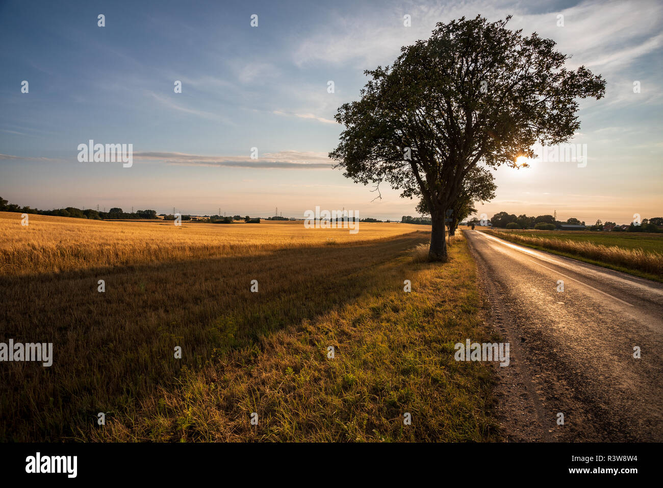 Beautiful Landscape photograph in Denmark Stock Photo - Alamy