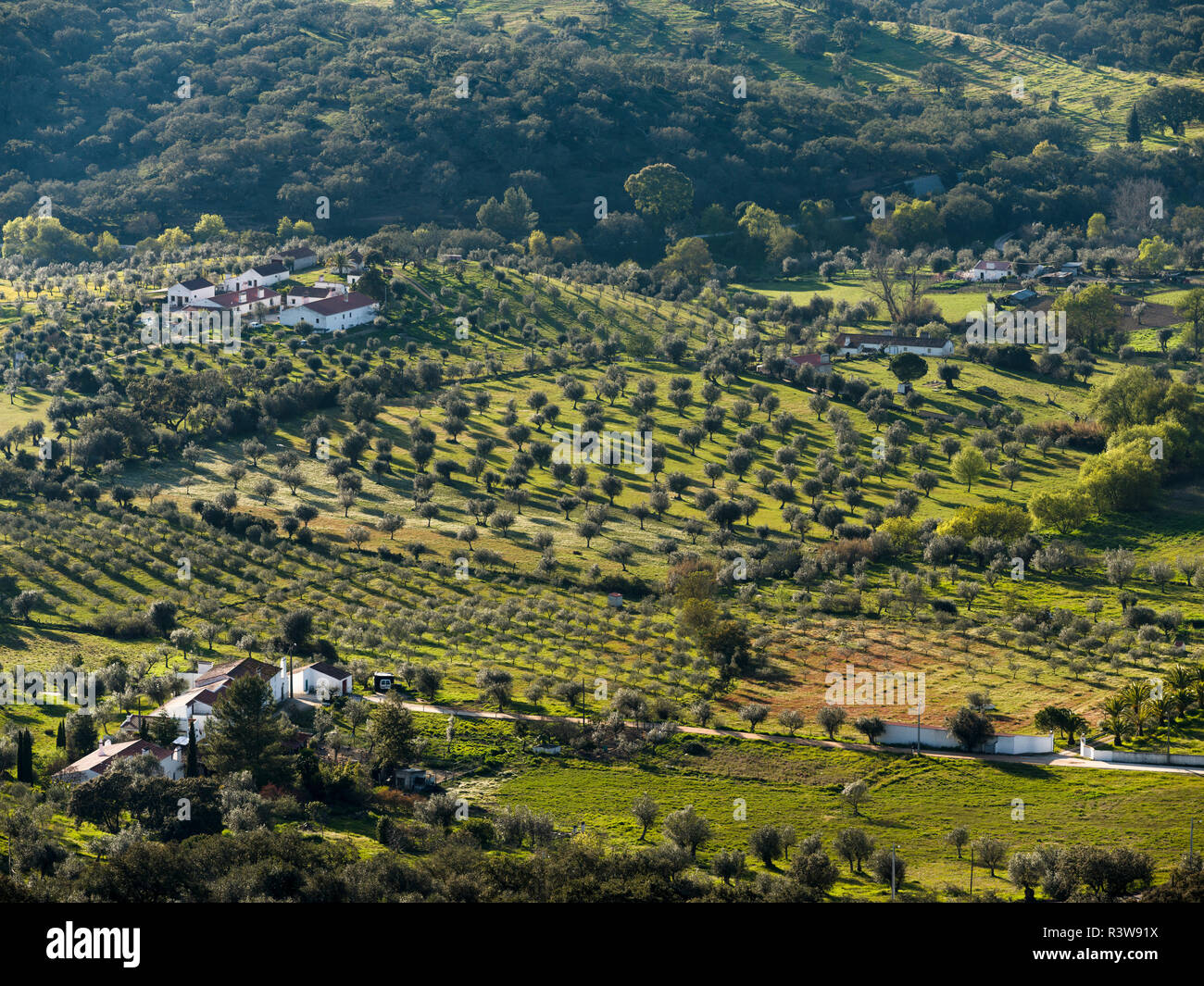 Landscape near village Evoramonte in the Alentejo. Portugal Stock Photo ...