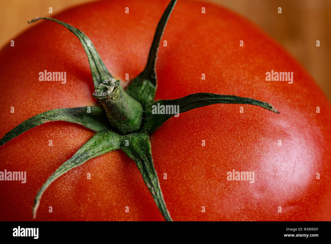 6 point leaf hi-res stock photography and images - Alamy