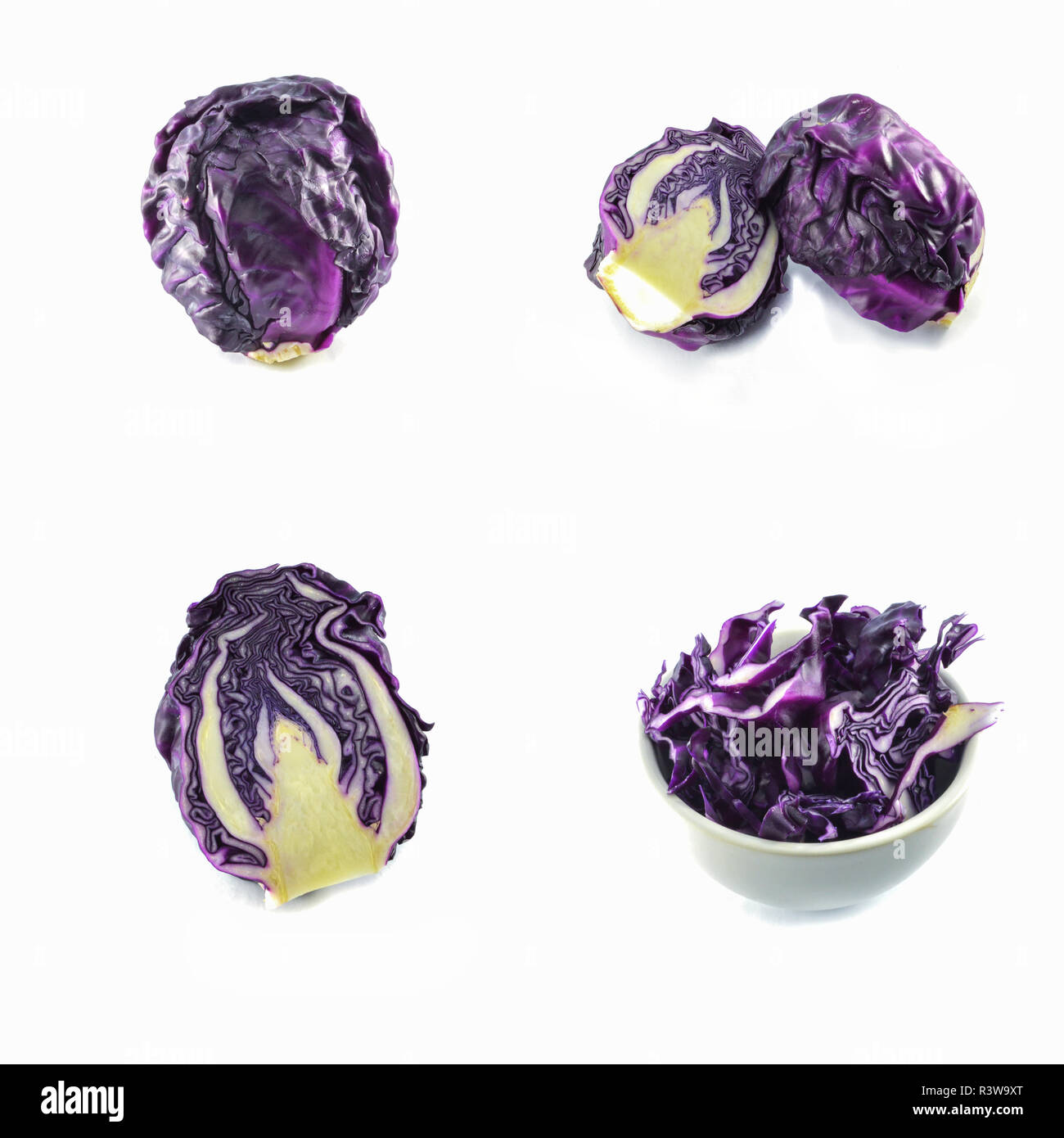 fresh purple cabbage isolated / purple of red cabbage vegetable on set ...