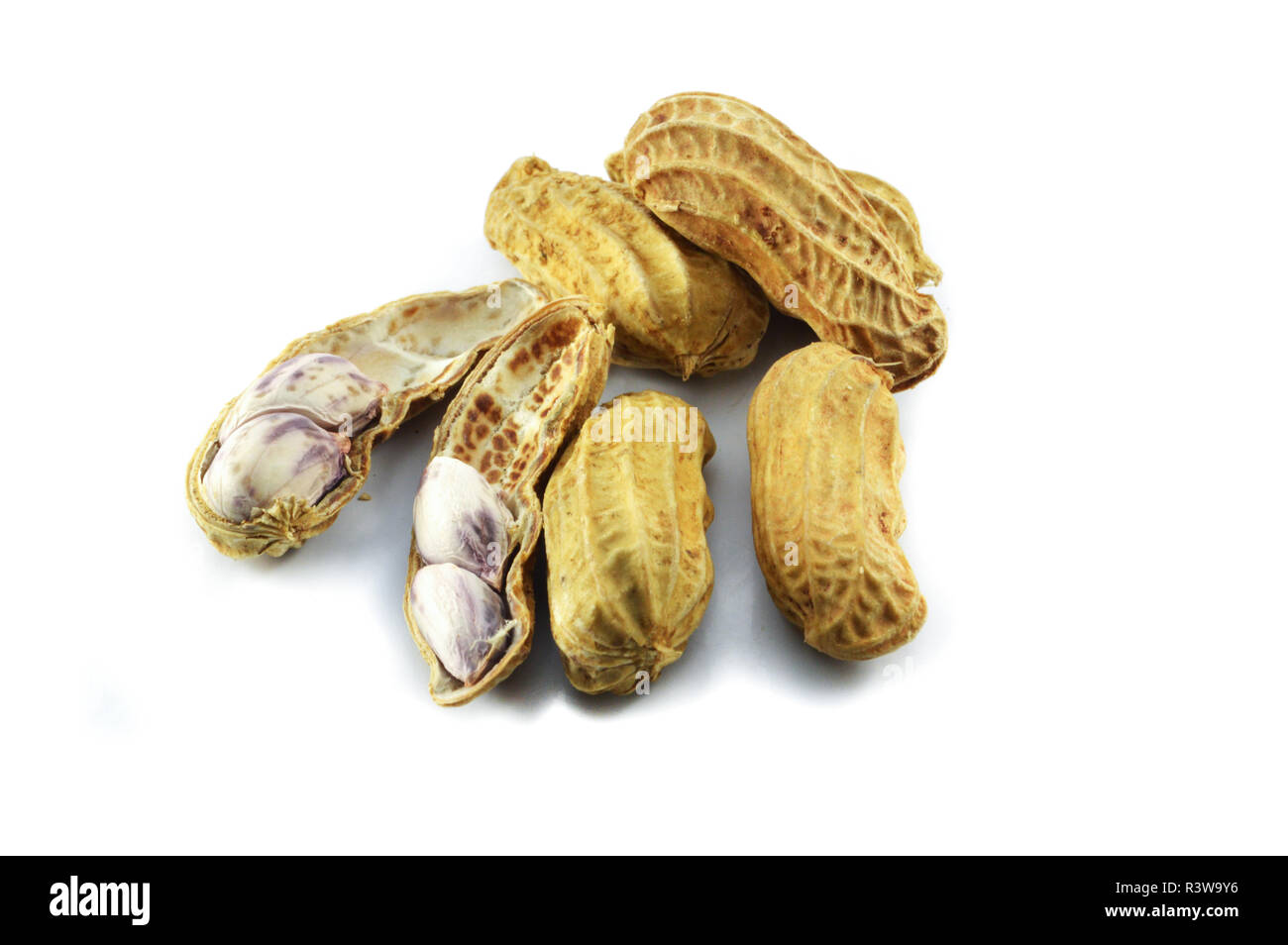 peanuts isolated / cooking of peanuts boiled isolated on white ...