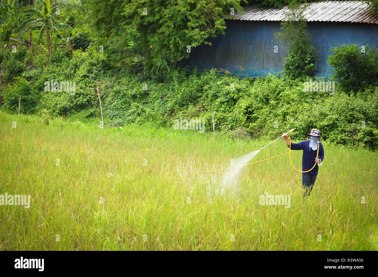 Man spraying pesticide on grass hi-res stock photography and images - Alamy