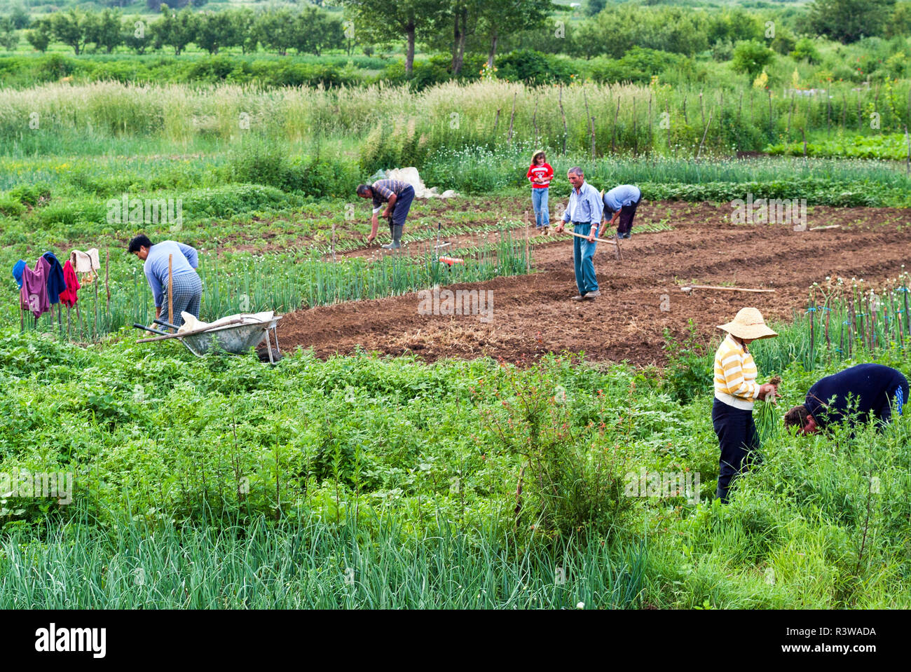 Poor farming family hi-res stock photography and images - Alamy