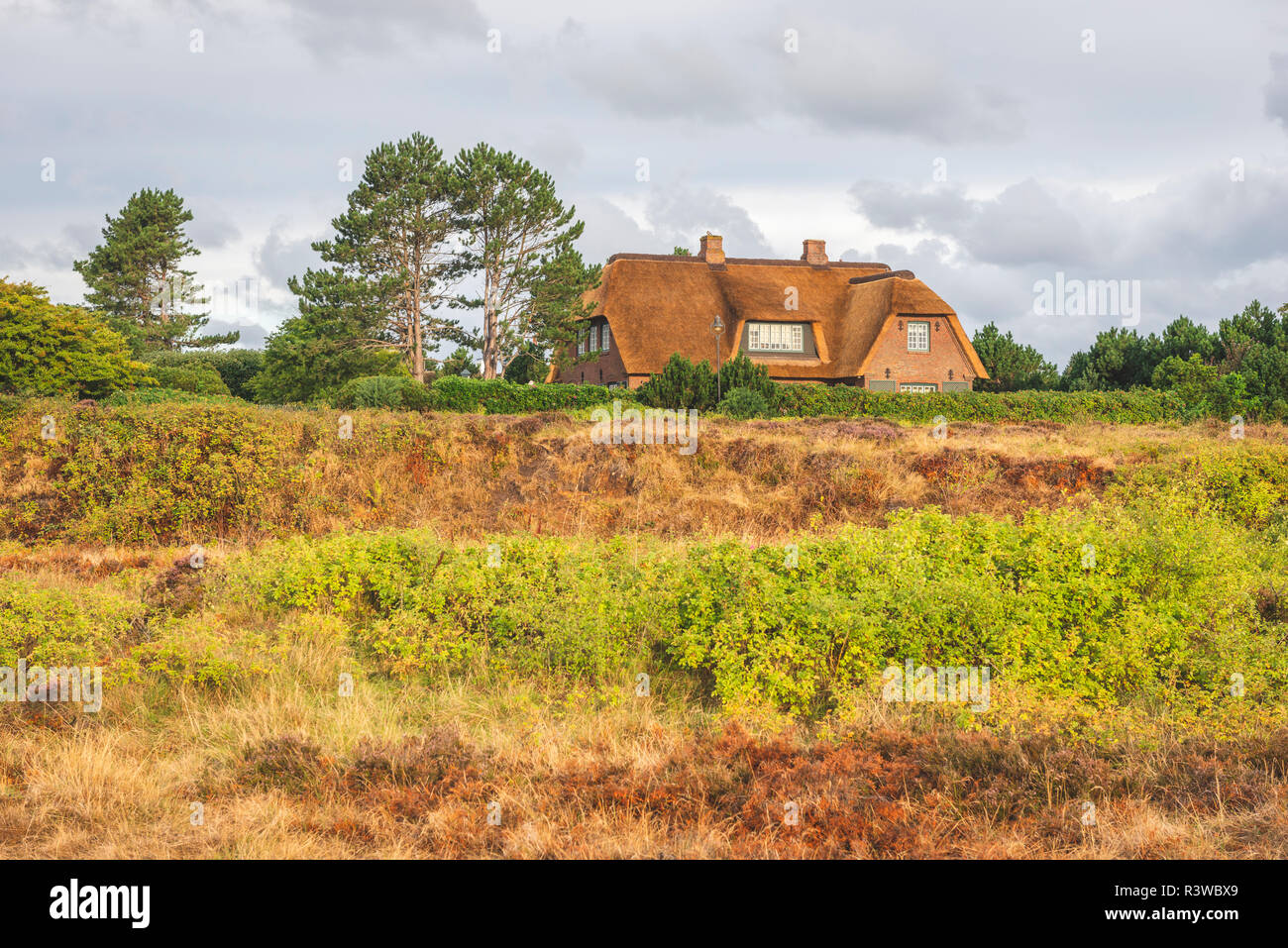 Germany, Schleswig-Holstein, Sylt, thatched-roof house in Braderuper ...
