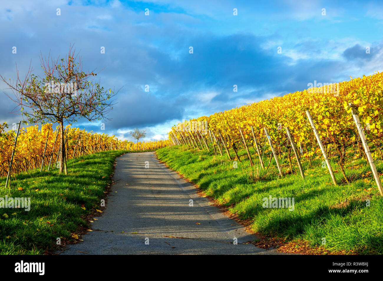 Bergstrasse hi-res stock photography and images - Alamy