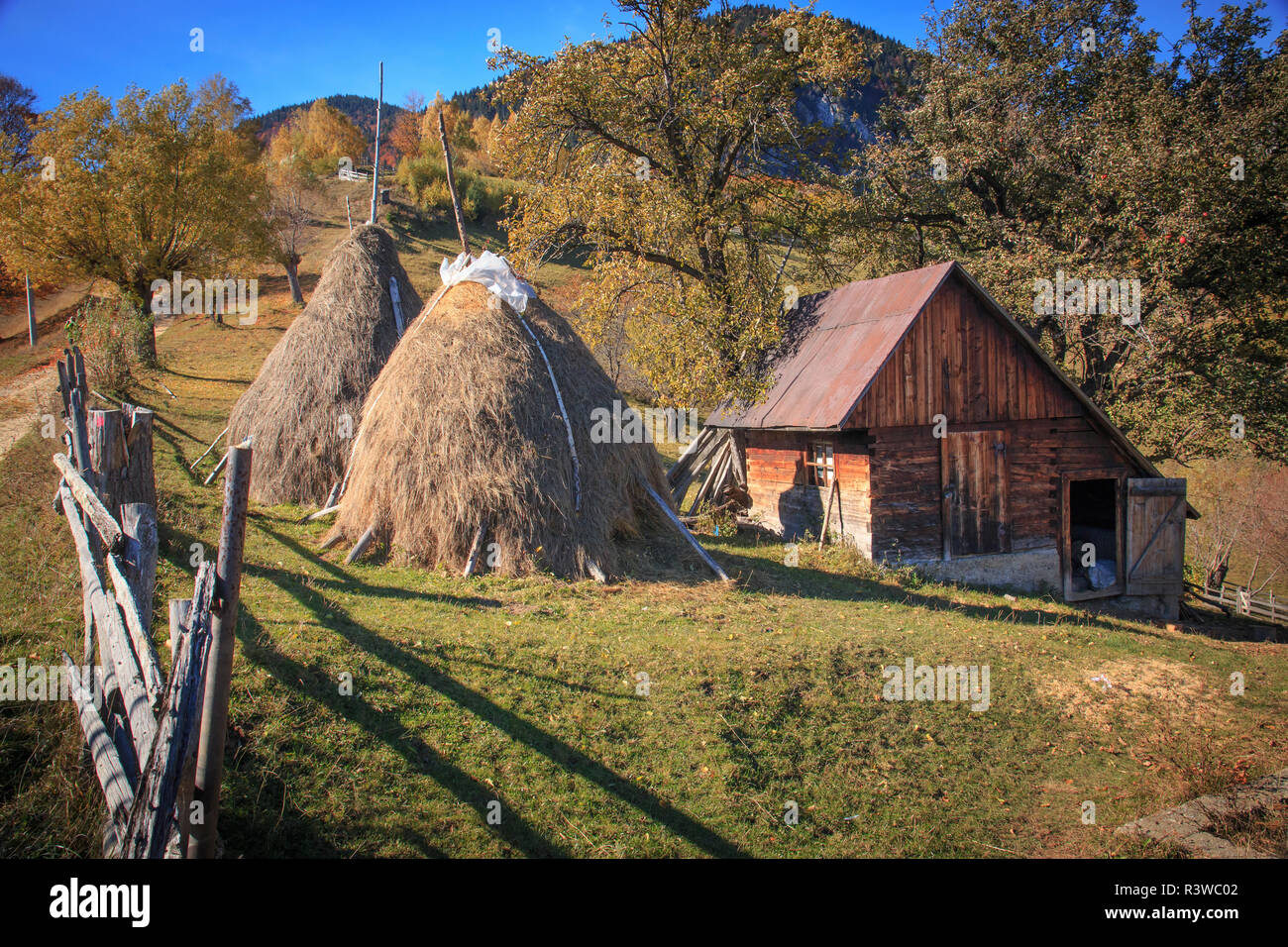 Romania, Transylvania, Carpathian Mountains, Magura, Piatra Craiului ...