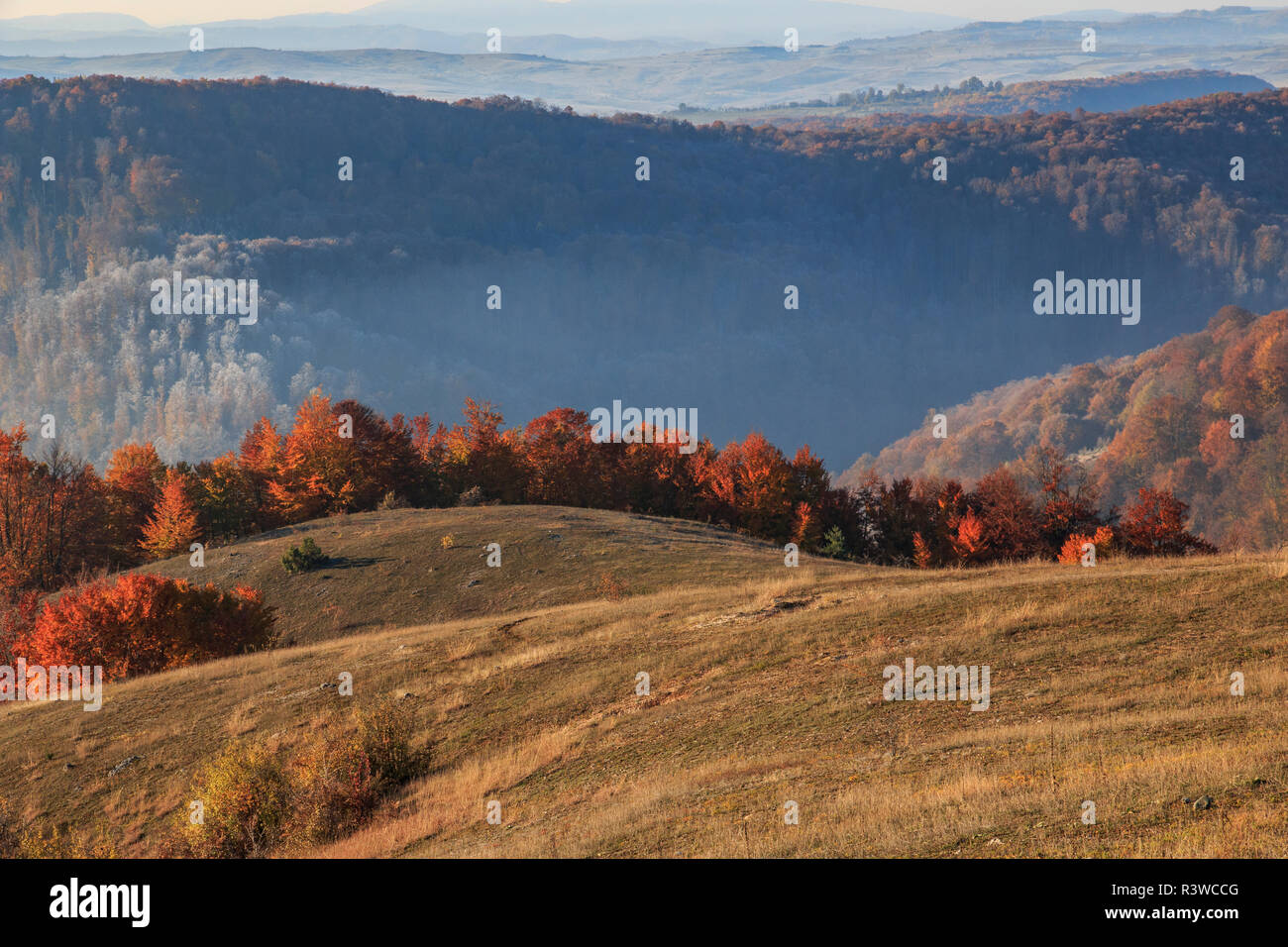 Transylvania, Romania, Maramures County, Dobricu Lapusului and Targu ...