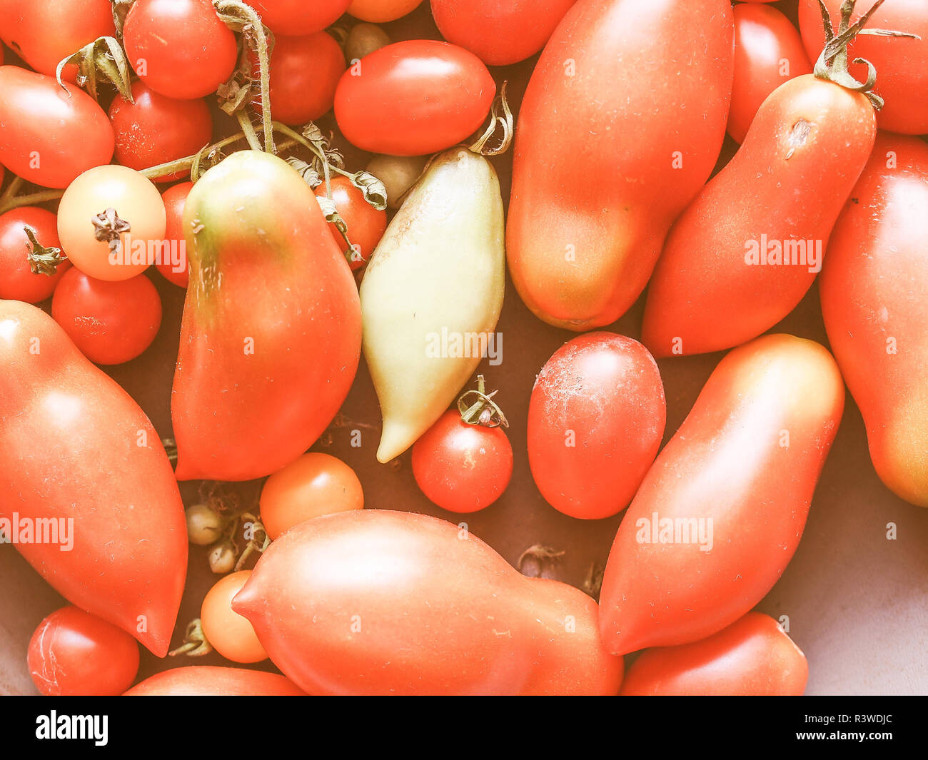Retro looking Tomato vegetable Stock Photo - Alamy