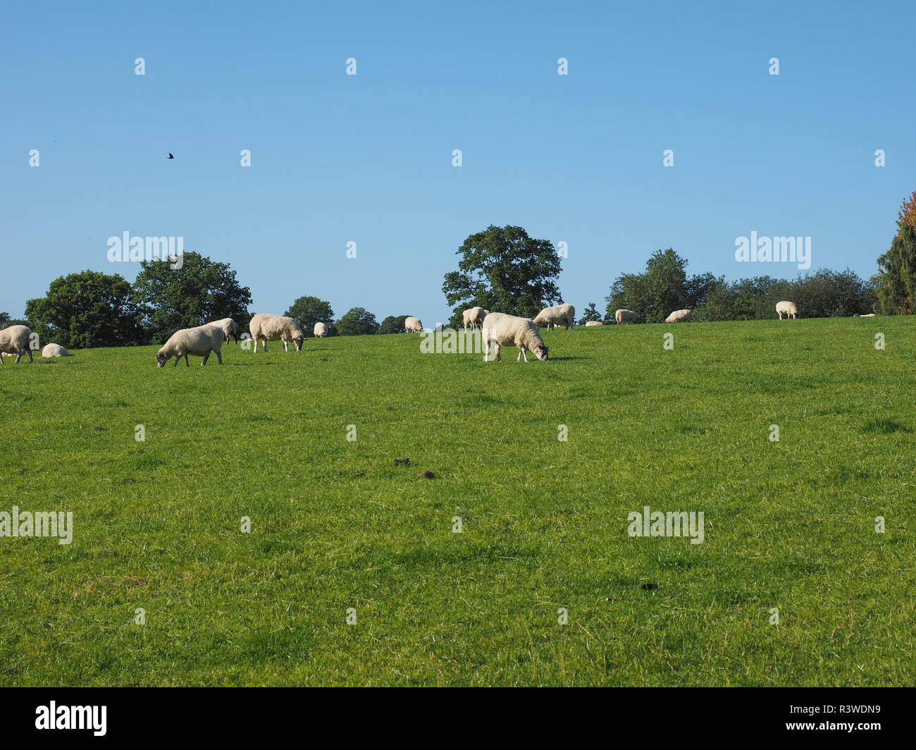 View of Tanworth in Arden Stock Photo - Alamy