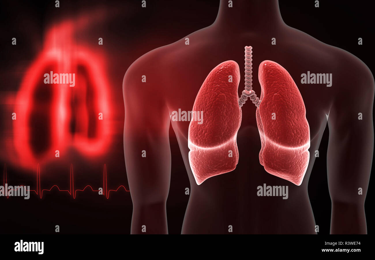 Xray of lungs with red hi-res stock photography and images - Alamy