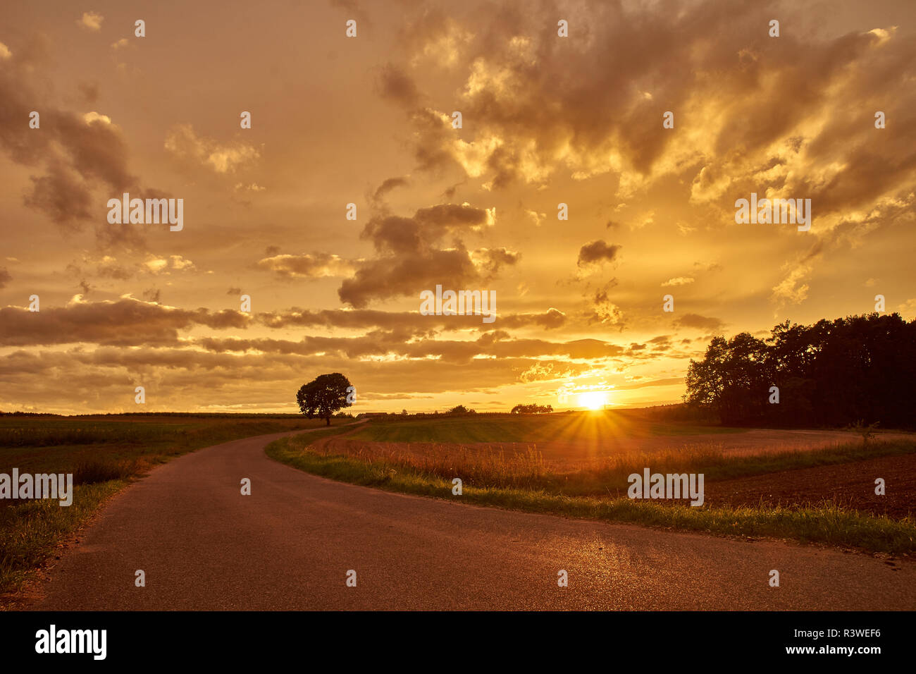 Wonderful light with country road Stock Photo - Alamy
