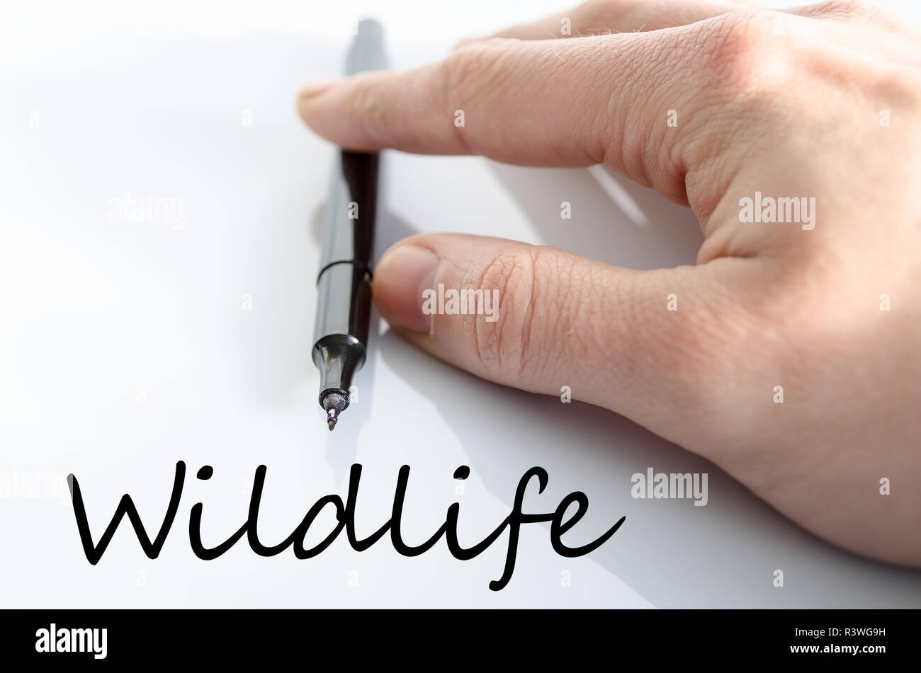 Wildlife text concept Stock Photo - Alamy