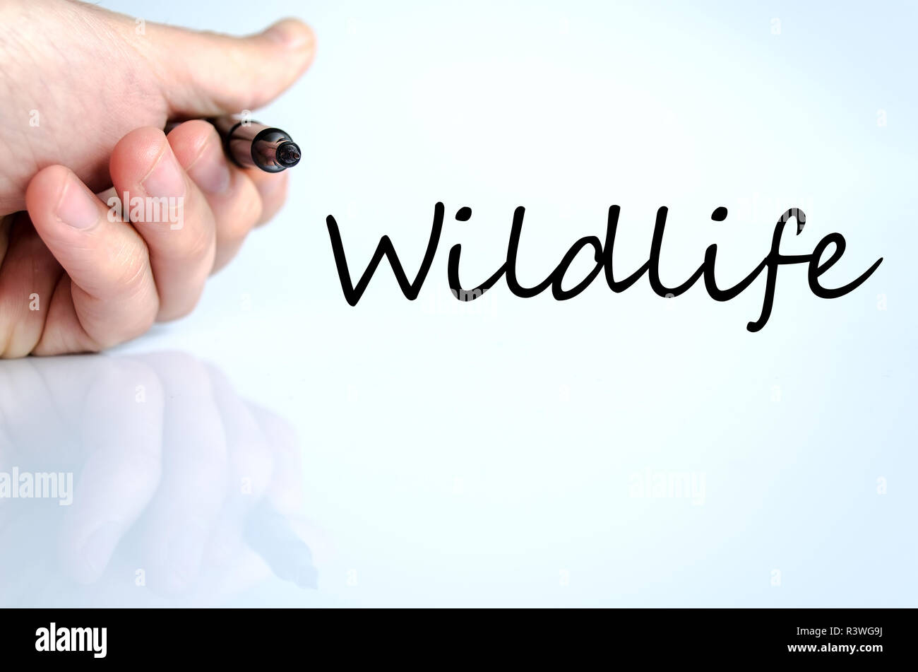 Wildlife text concept Stock Photo - Alamy