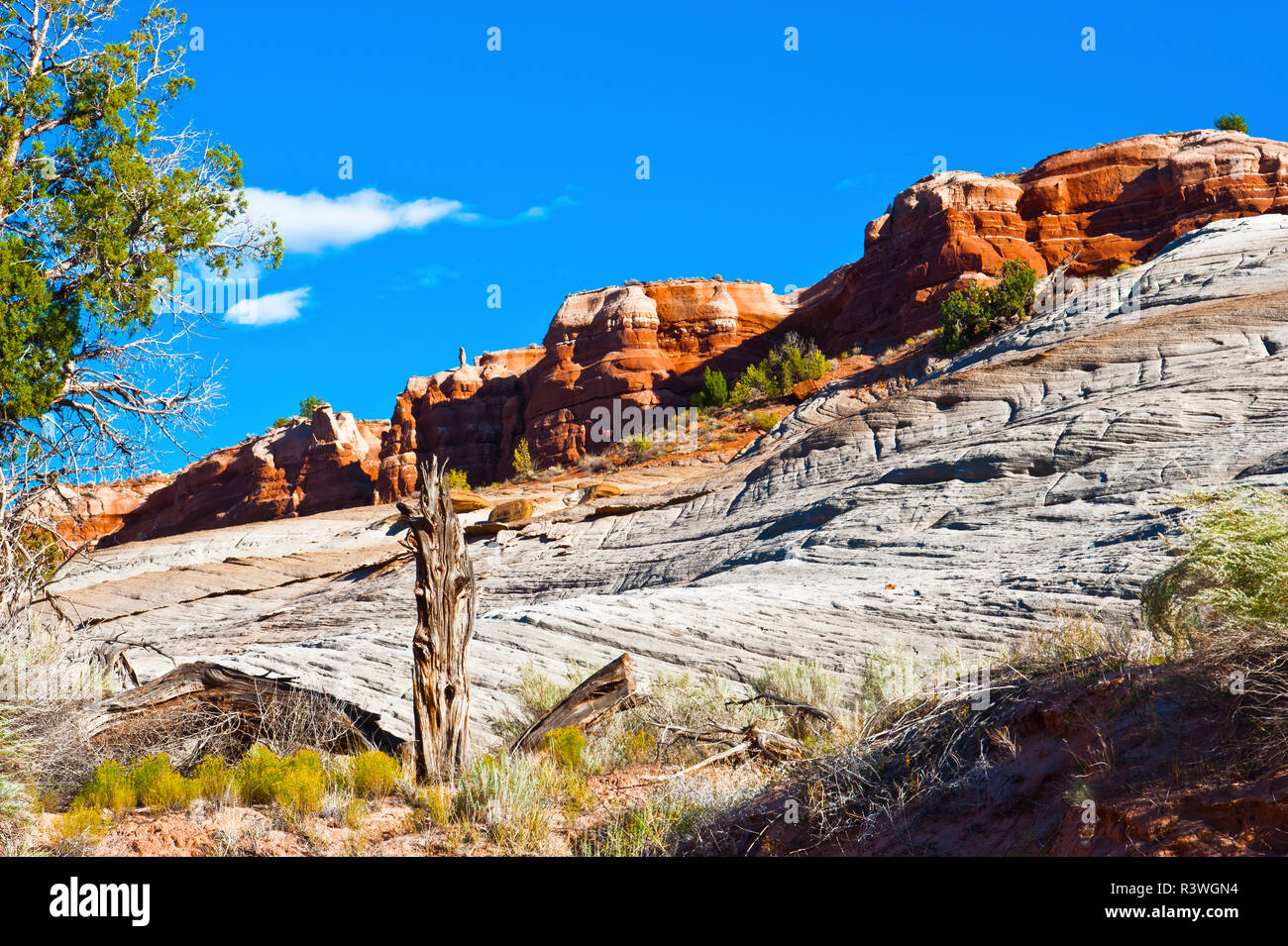 USA, Arizona, Big Water, Grand Staircase Escalante National Monument ...
