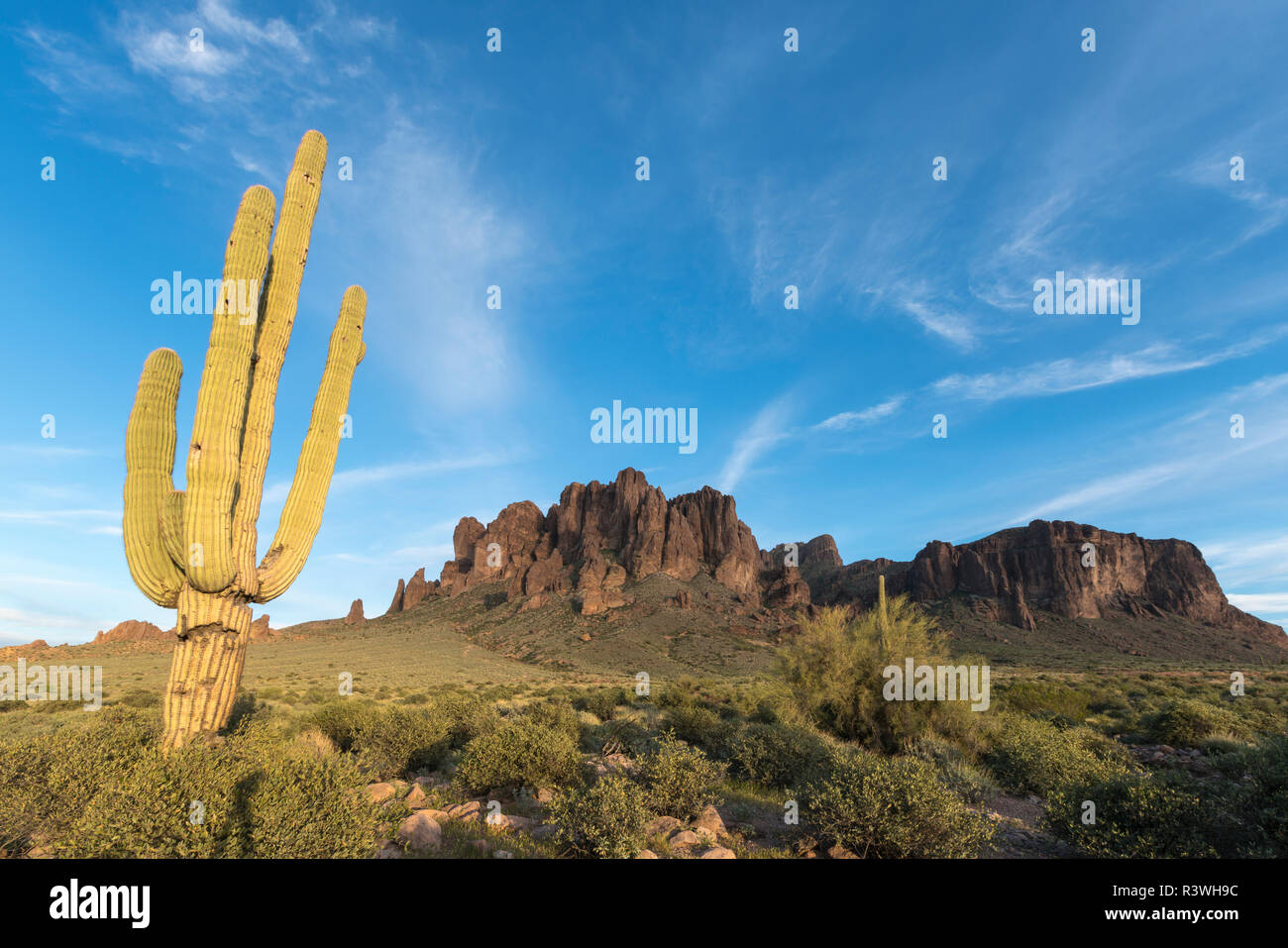 Lost dutchman mine state park hi-res stock photography and images - Alamy