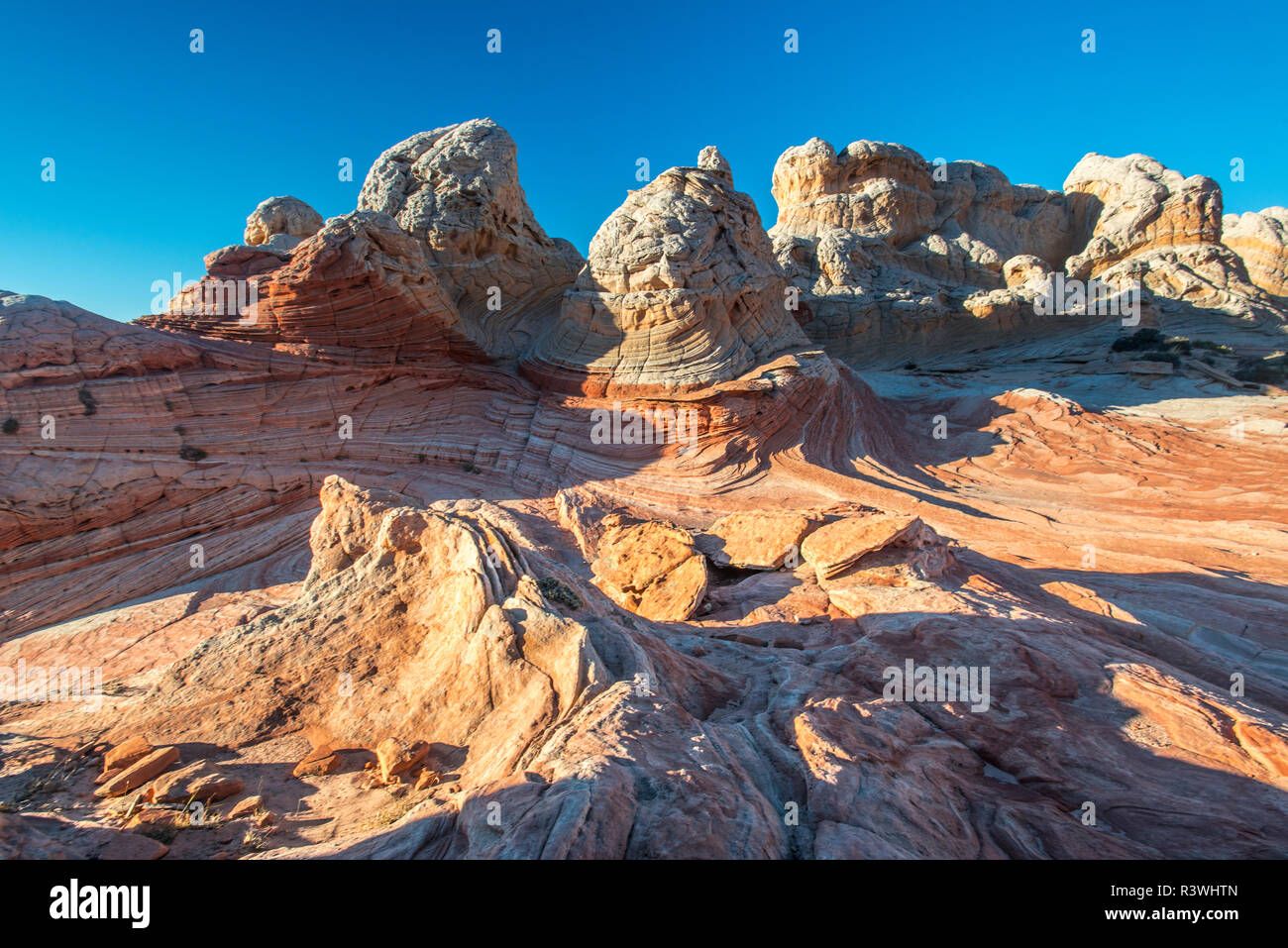 Textured sandstone landscape, Vermillion Cliffs, White Pocket ...