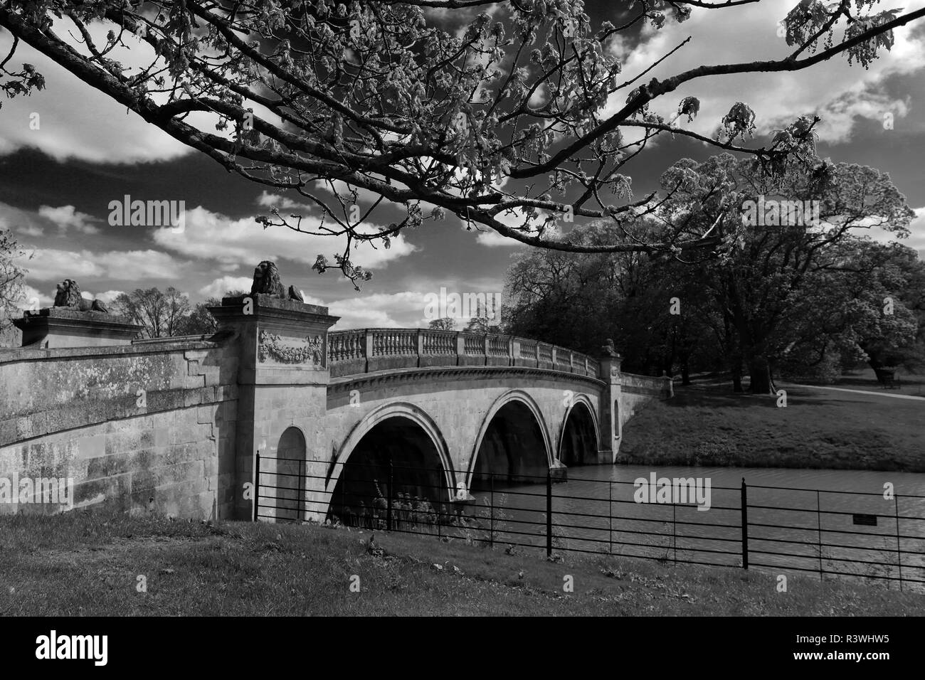 Colours of springtime Black and White Stock Photos & Images - Alamy