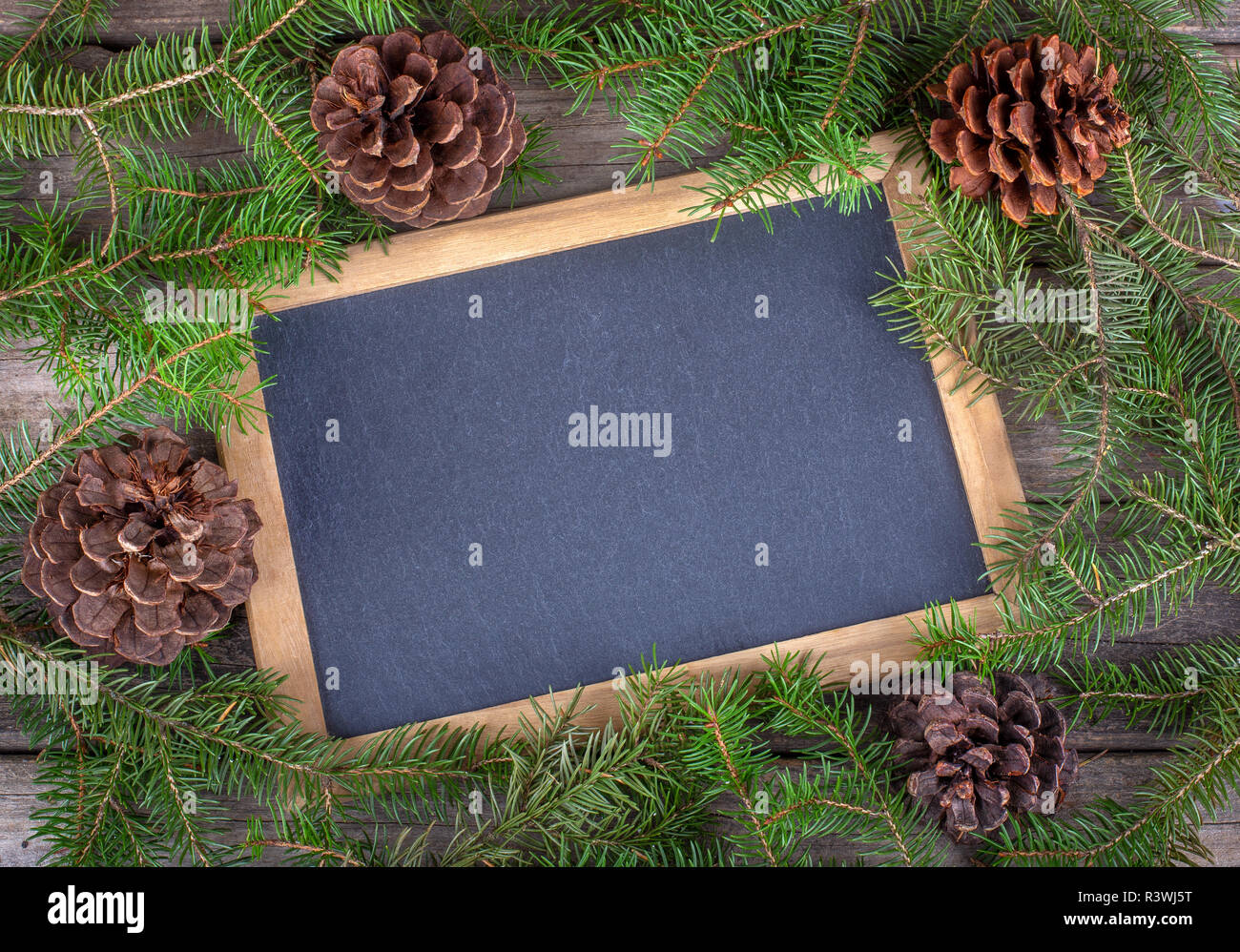 Blank tree hi-res stock photography and images - Alamy