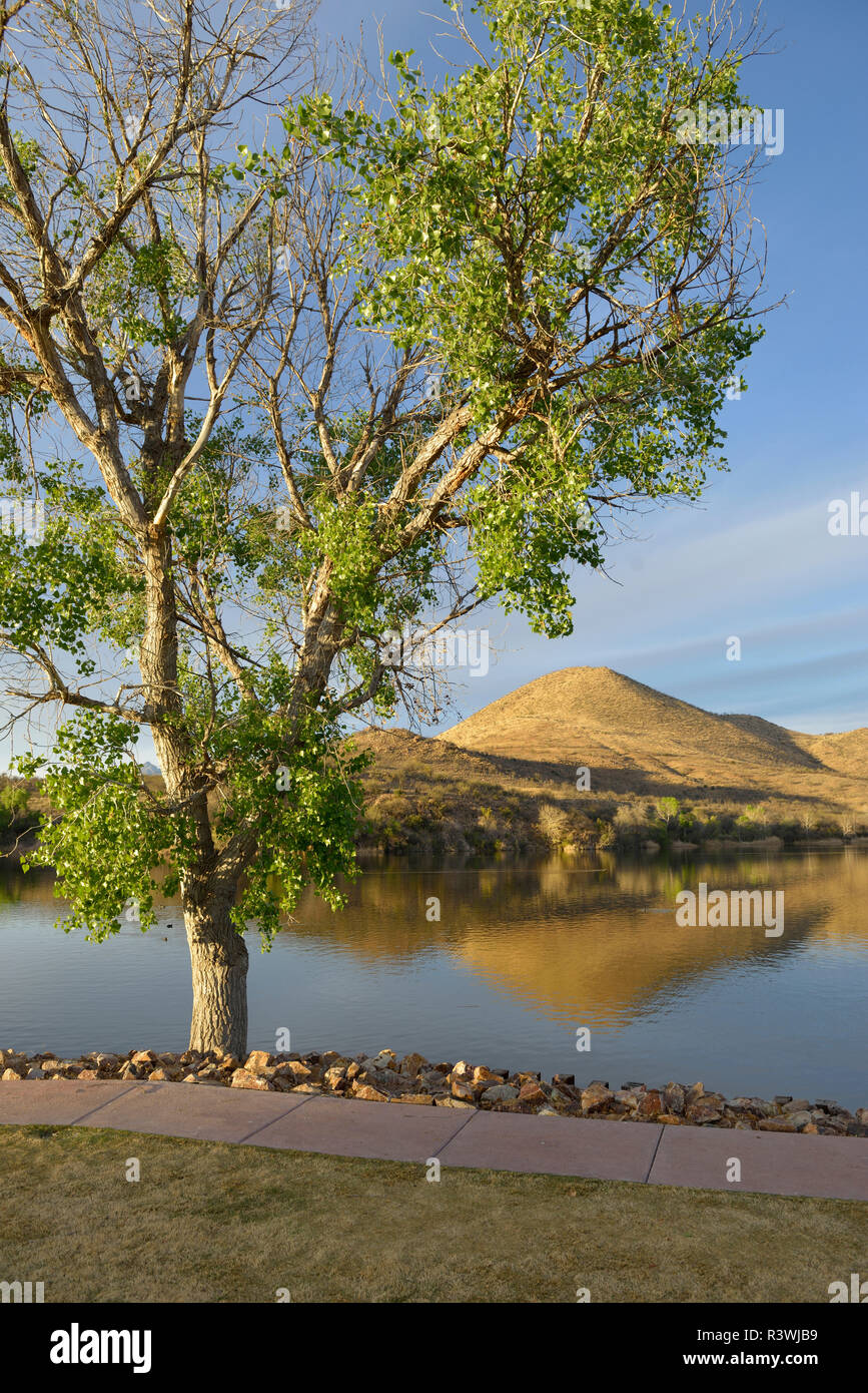 USA, Arizona, Patagonia Lake State Park. Lakeside walkway at Patagonia Lake State Park Stock ...