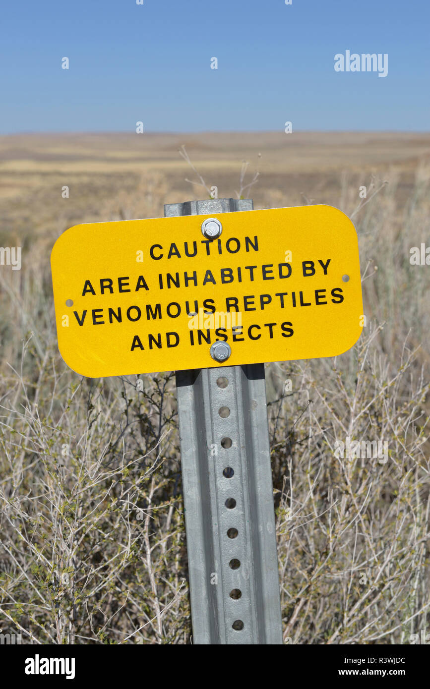 Arizona insects hi-res stock photography and images - Alamy