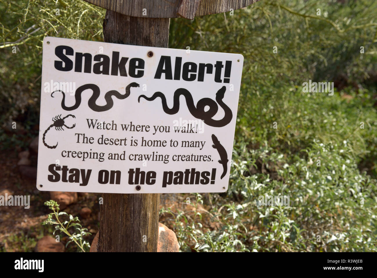 USA, Arizona. Apache Junction, 'Snake Alert!' sign, Apacheland Movie ...