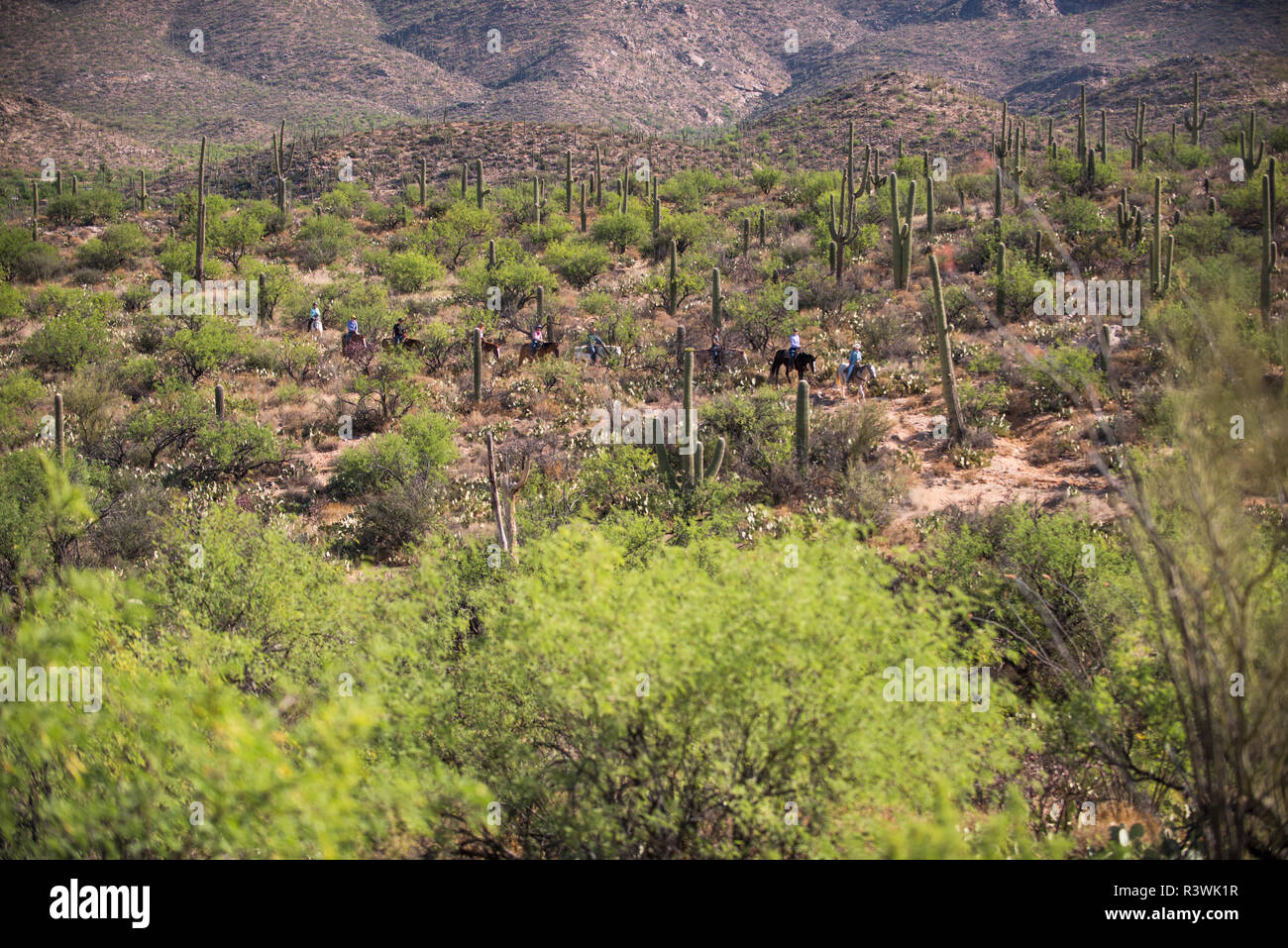 Tanque verde trail hi-res stock photography and images - Alamy