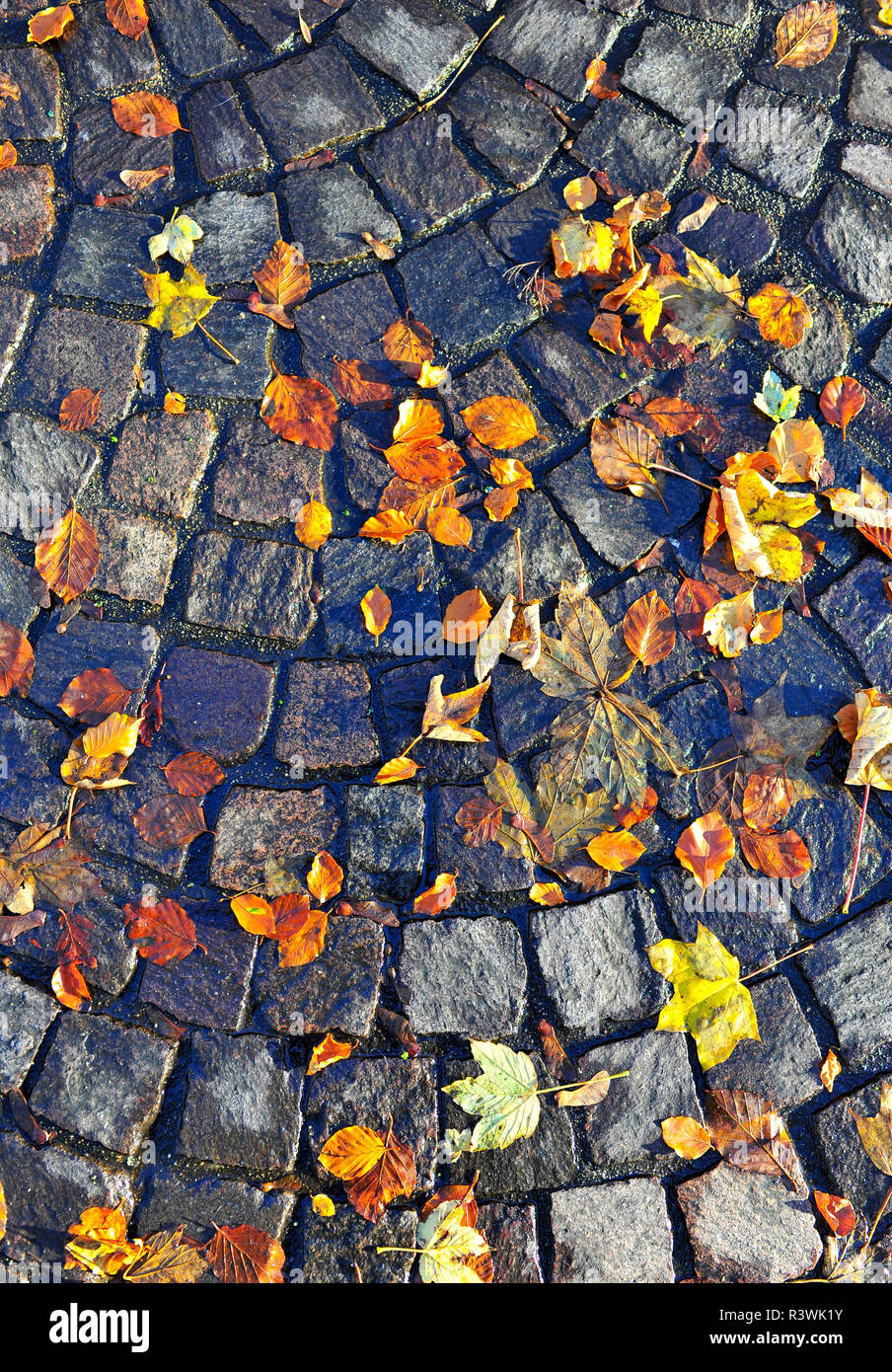 Cobbles on sidewalk hi-res stock photography and images - Alamy