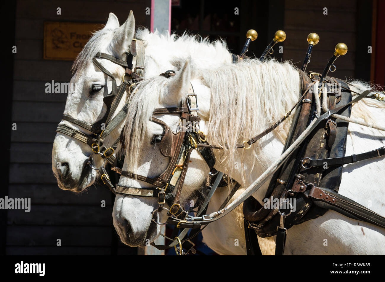 19th century horse drawn stagecoach hi-res stock photography and images ...