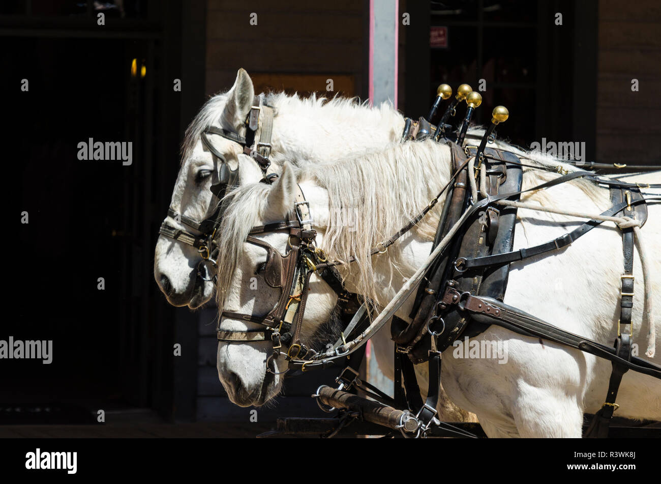 19th century horse drawn stagecoach hi-res stock photography and images ...