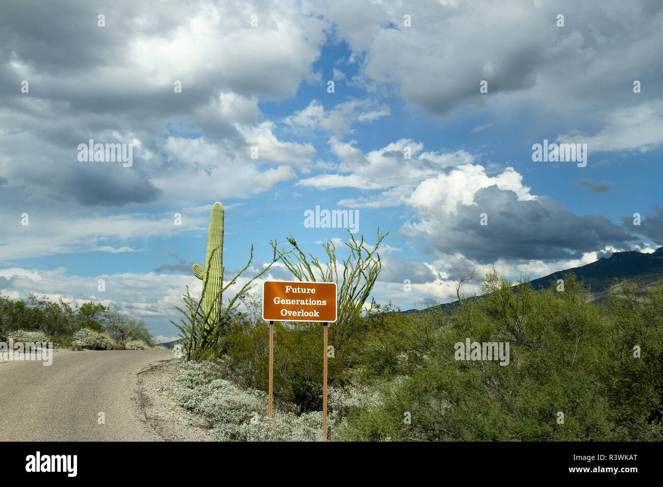 Saguaro national park sign hi-res stock photography and images - Alamy
