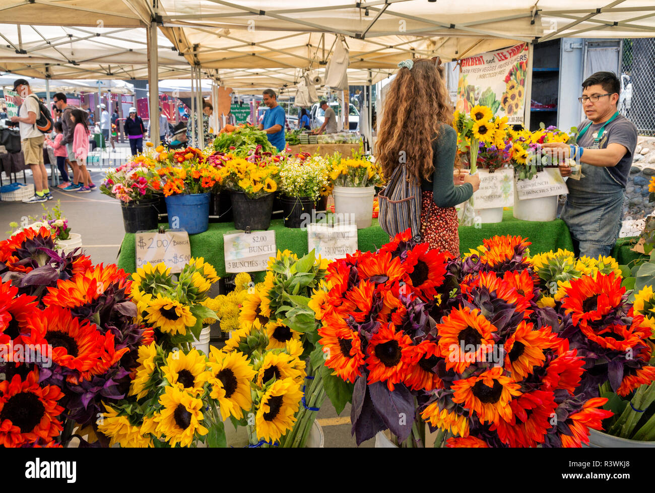 USA, California, La Jolla. Shoppers at the La Jolla Open Aire Market ...