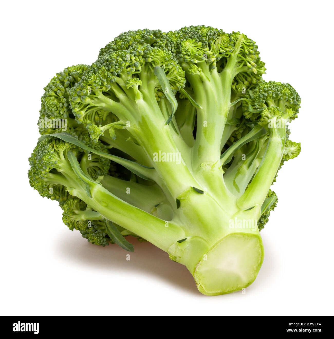 broccoli path isolated Stock Photo - Alamy