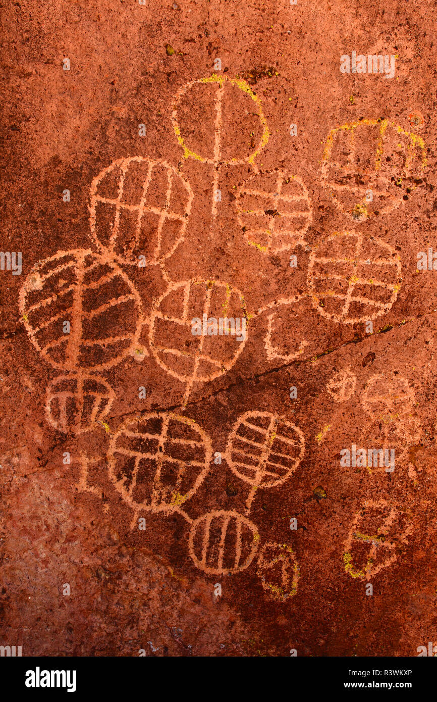 California Native American Art