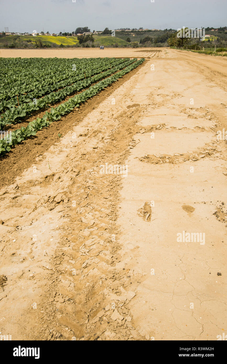 Drought california agriculture hi-res stock photography and images - Alamy