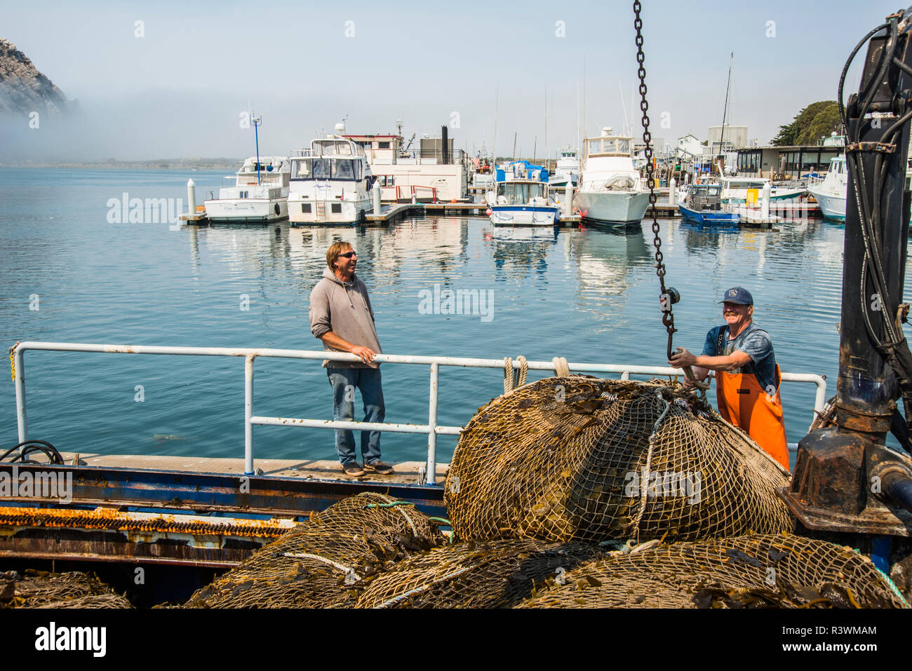 Abalone fishing hi-res stock photography and images - Alamy