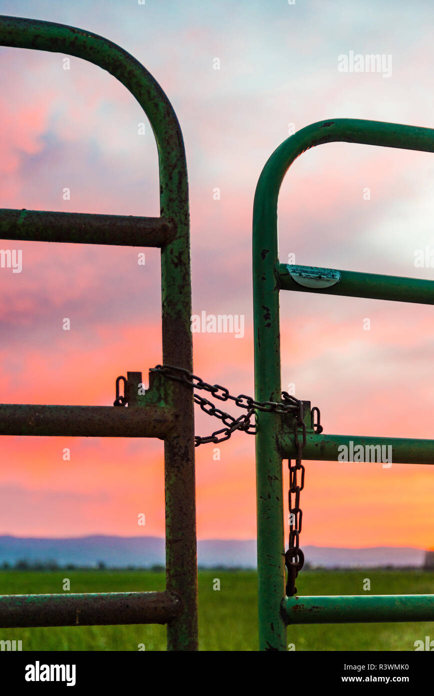 USA, California, Central Valley, Vernalis, off Route 132, sunset Stock ...