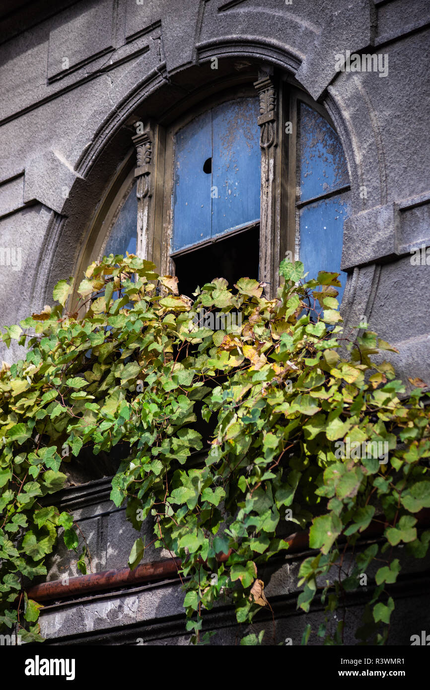 Windows of building in historical part of Tbilisi, Georgia Stock Photo ...