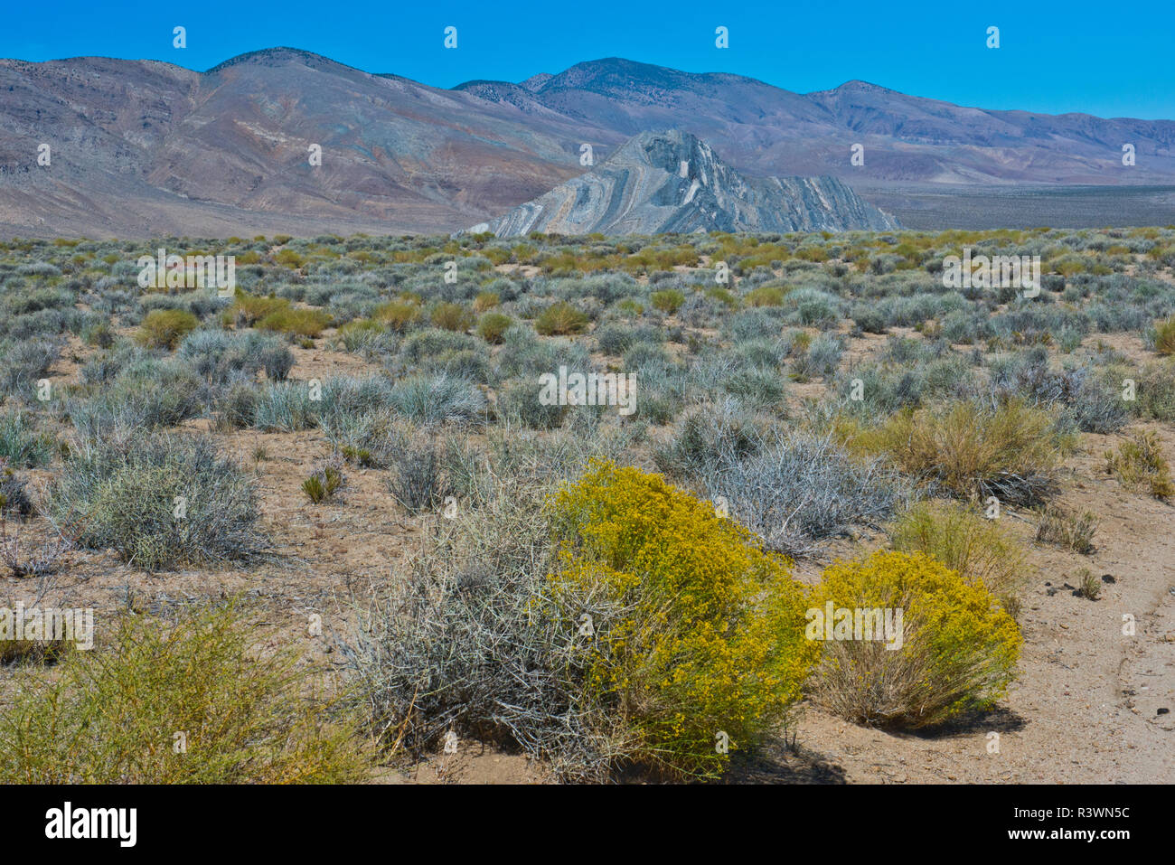 USA, California. Death Valley National Park, Butte Valley Road ...