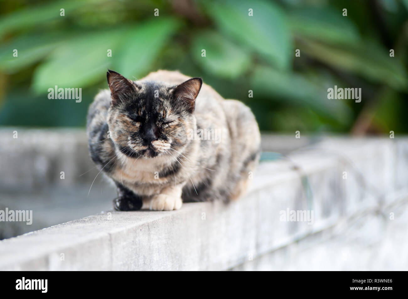 Looking down at the old beautiful town of nice hi-res stock photography ...