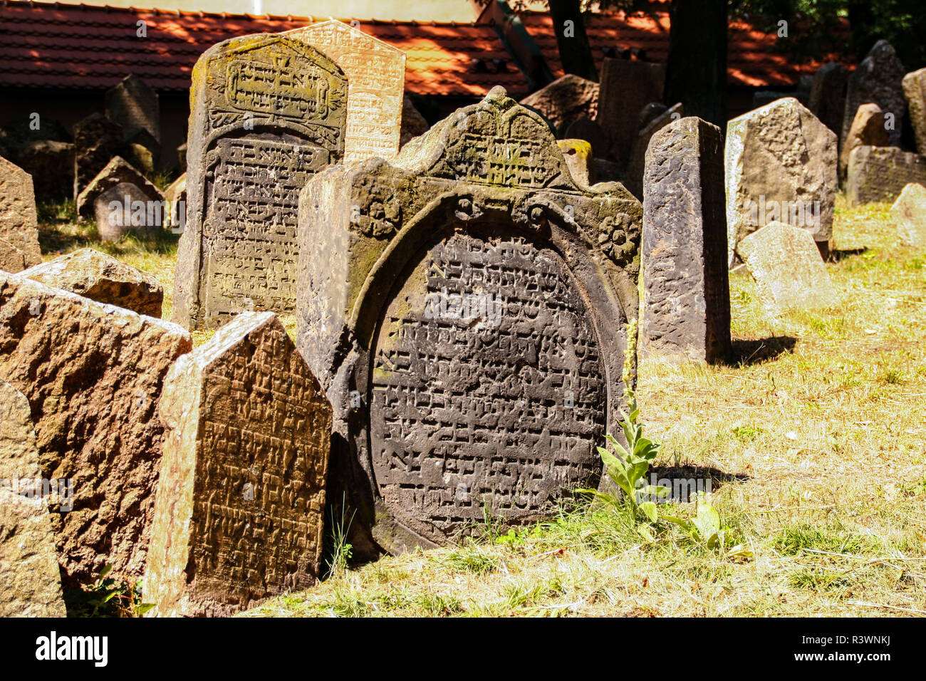 Old Jewish Cemetery, one of the most important Jewish historical ...