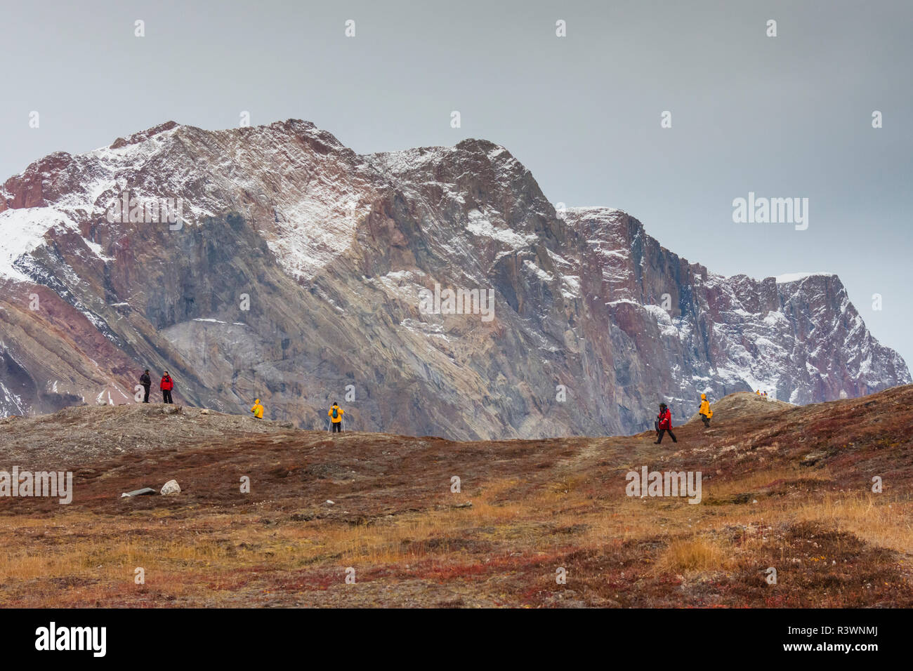 Greenland. Northeast Greenland National Park, Kong Oscar Fjord. Ella ...