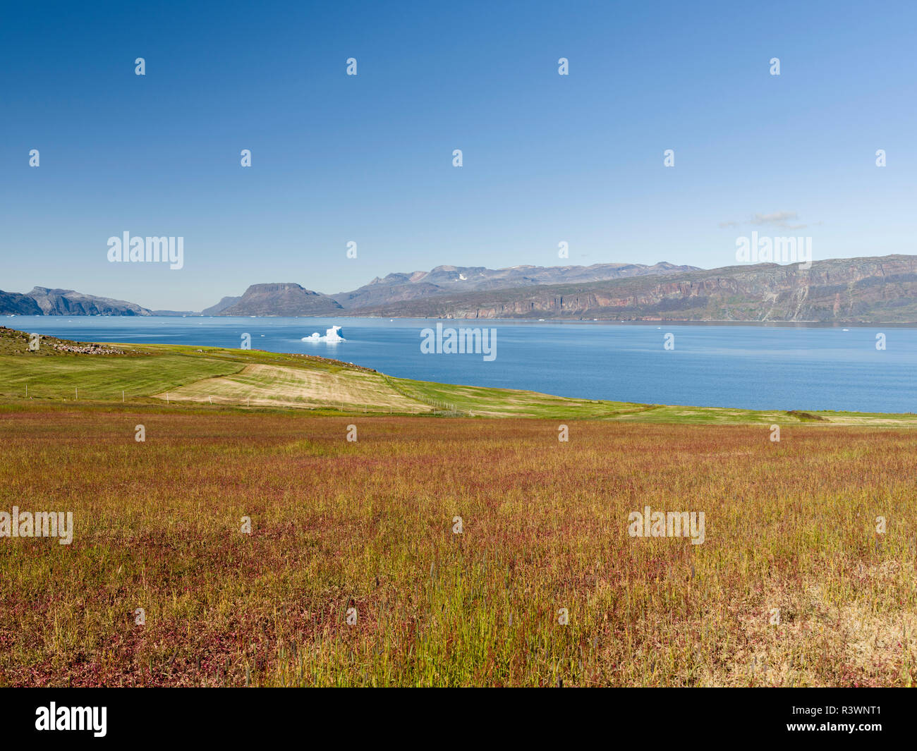 Eiriksfjord hi-res stock photography and images - Alamy