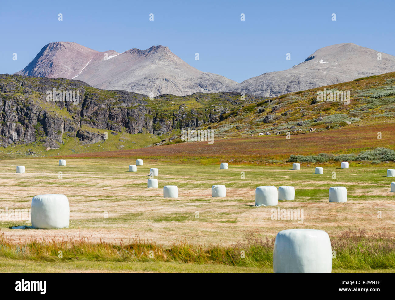 Greenland economy hi-res stock photography and images - Alamy