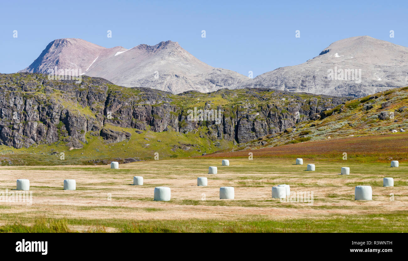 Greenland economy hi-res stock photography and images - Alamy