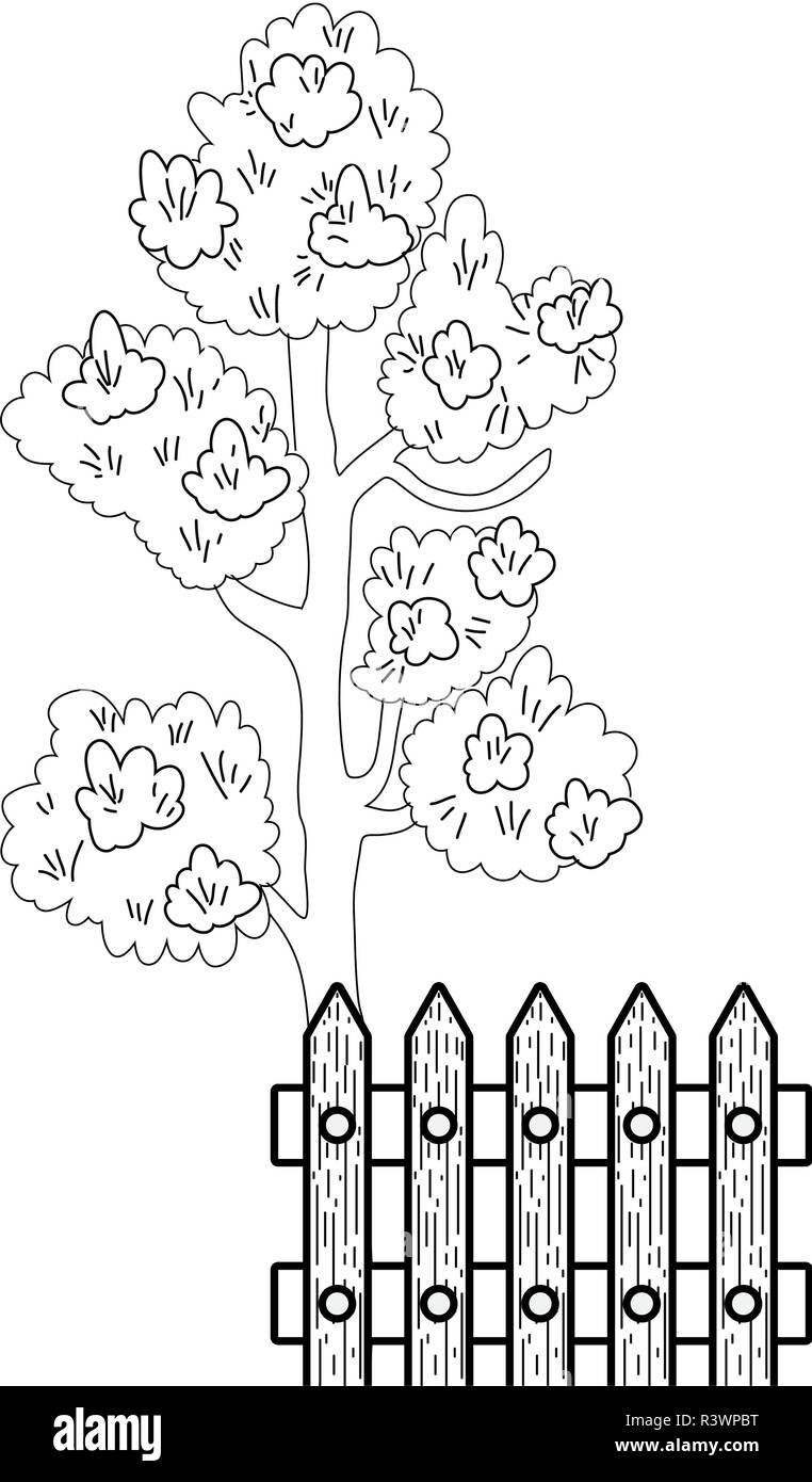 tree plant with fence vector illustration design Stock Vector Image ...